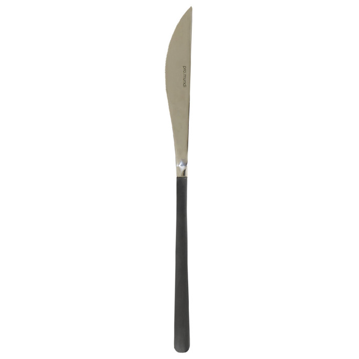 Buy BLACK PVD TABLE KNIFE WITH BLACK PVD HANDLE AROMA PRO MUNDI ...