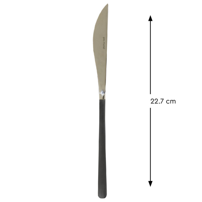 Buy BLACK PVD TABLE KNIFE WITH BLACK PVD HANDLE AROMA PRO MUNDI ...