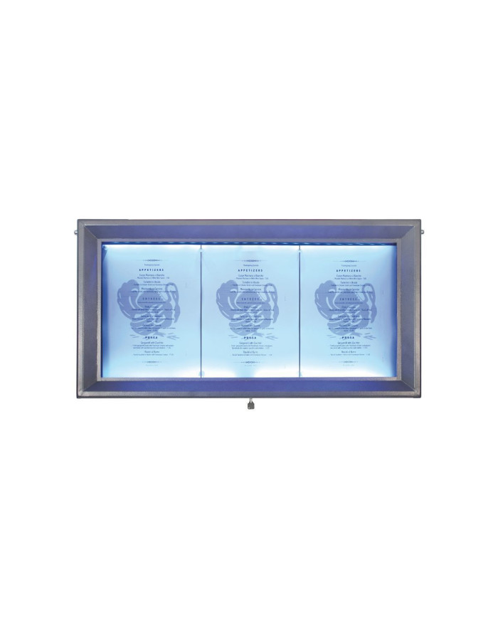 Buy OUTDOOR LED DISPLAY WHITE LEDS GREY COATED STEEL 3 PAGES A4 ...