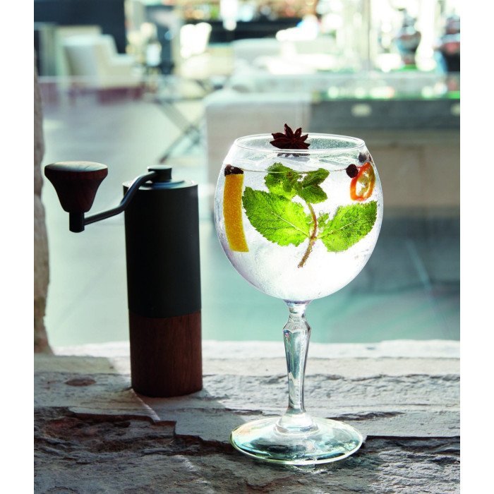 Buy Gin cocktail glass 58 cl Monti Arcoroc | Restofair RAK