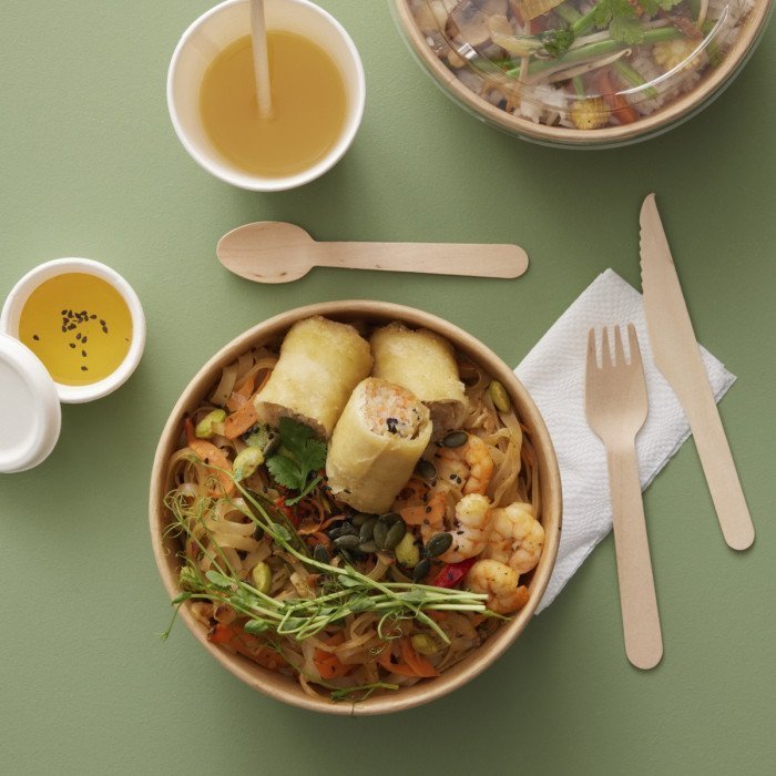 Pack of 100 knives Earth Essentials (100 units)