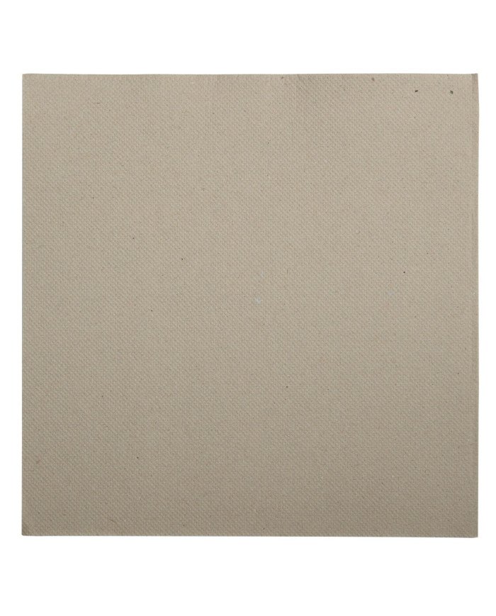 Napkin kraft cellulose wadding 38x38 cm Lisah Pro.mundi (50 units)