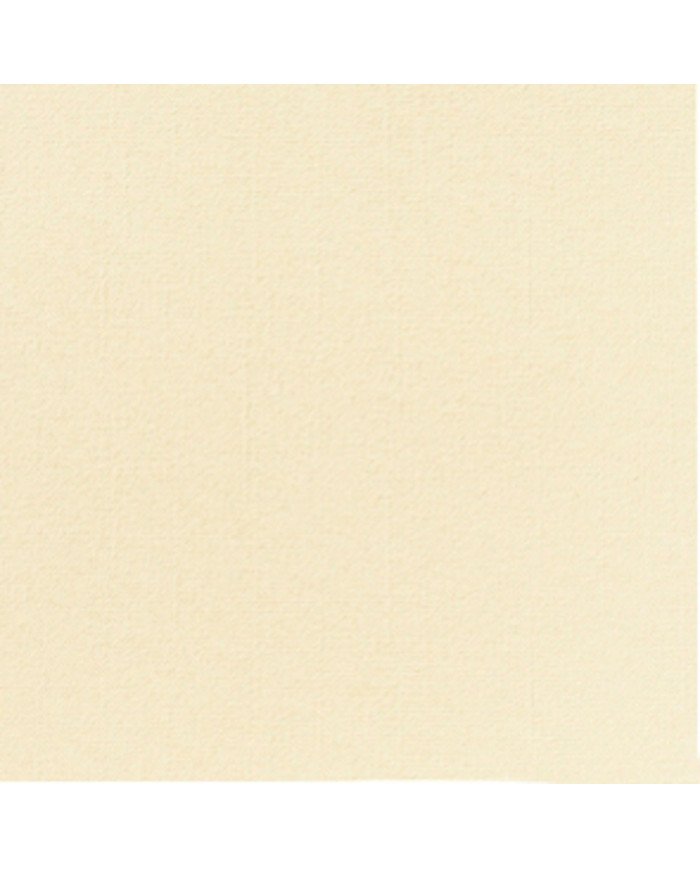 Napkin ivory non-woven 40x40 cm Dunilin Duni (45 units)