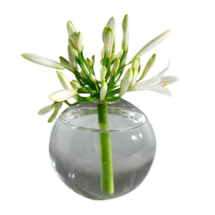 FLOWER VASE BOWL CLEAR Ø10CM GLASS