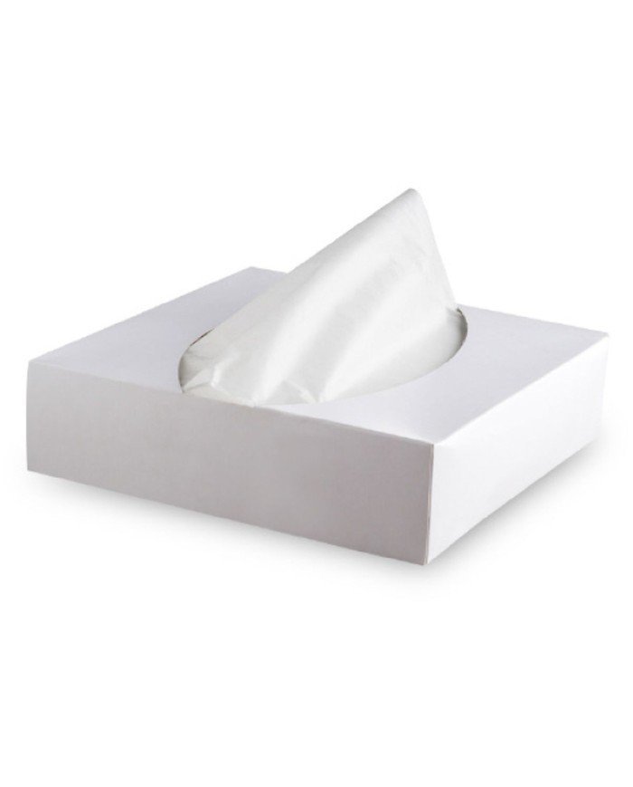 Buy DELI WRAP WHITE DISPENSER BOX OF 1000 L17.8 X H16.5CM | Restofair RAK