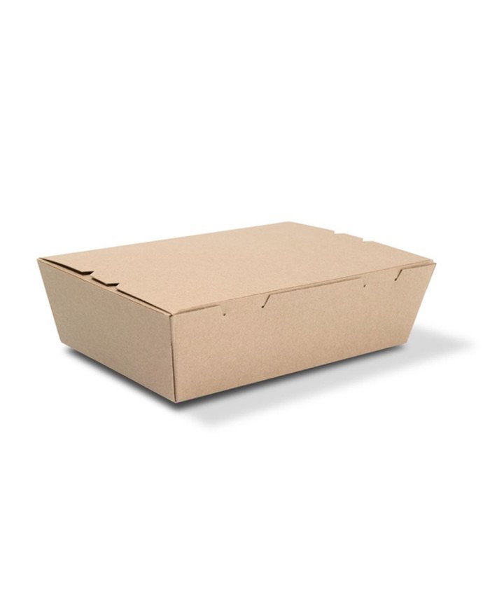 Buy LUNCH BOX WITH WINDOW PACK OF 50 BROWN L18 X W12 X H5CM 110CL ...