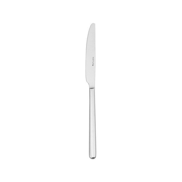 Buy TABLE KNIFE THICK. 2.5MM STAINLESS STEEL NARDO ETERNUM | Restofair RAK