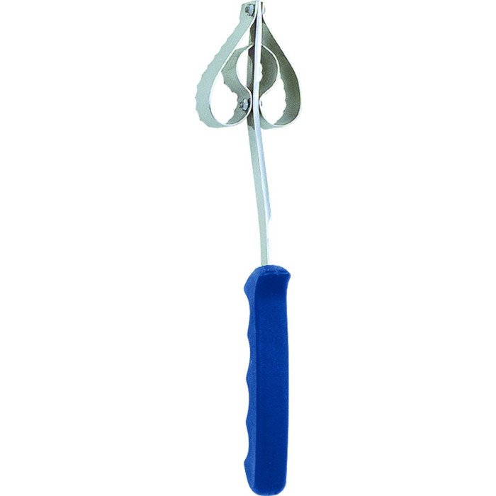Buy Fish scaler 16 cm stainless steel plastic serrated Deglon ...
