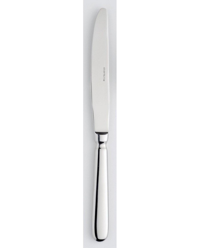 Buy Serrated monobloc table knife 23.8 cm Ecobaguette Eternum ...