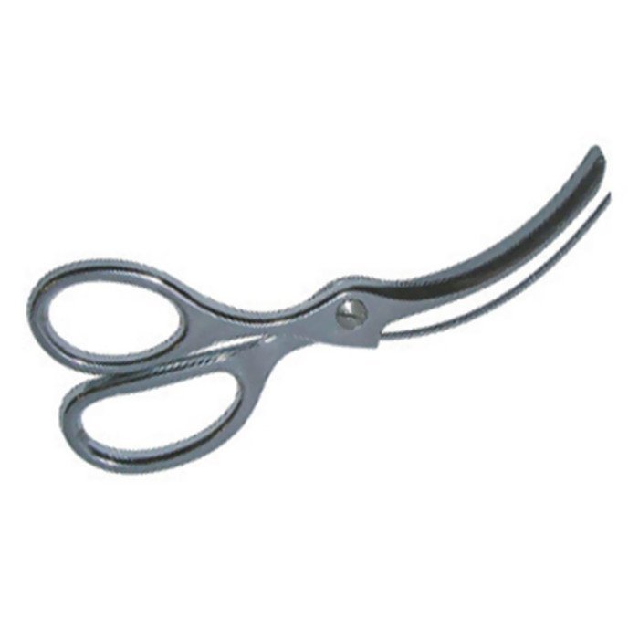 Buy SHELLING SHRIMPS SCISSORS | Restofair RAK