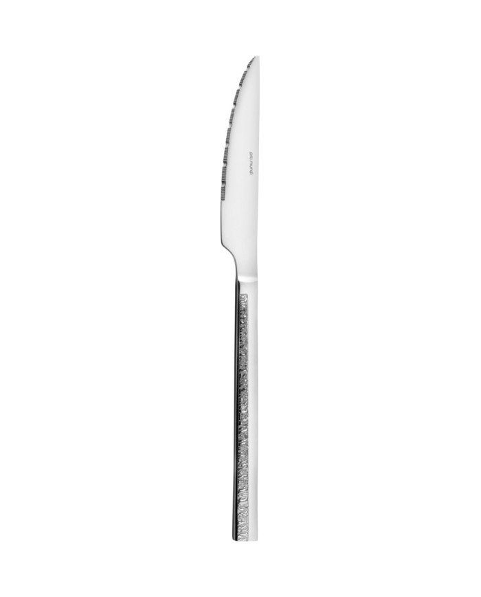 Buy Serrated monobloc table knife 23.5 cm Mineral Pro.mundi | Restofair RAK